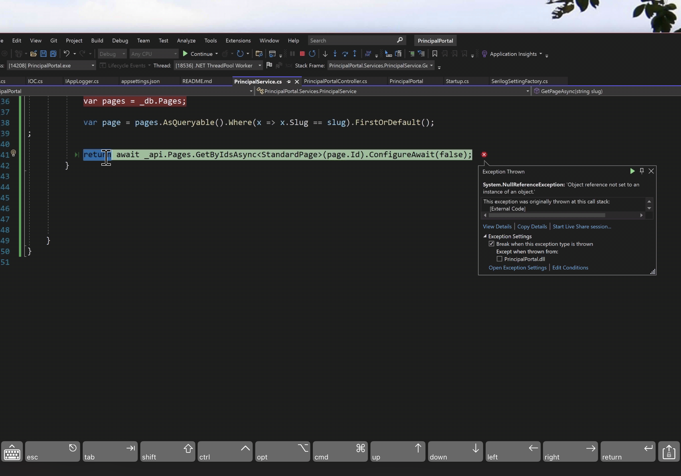 Can not call api keep getting null reference · Issue #1798 · PiranhaCMS/piranha.core · GitHub