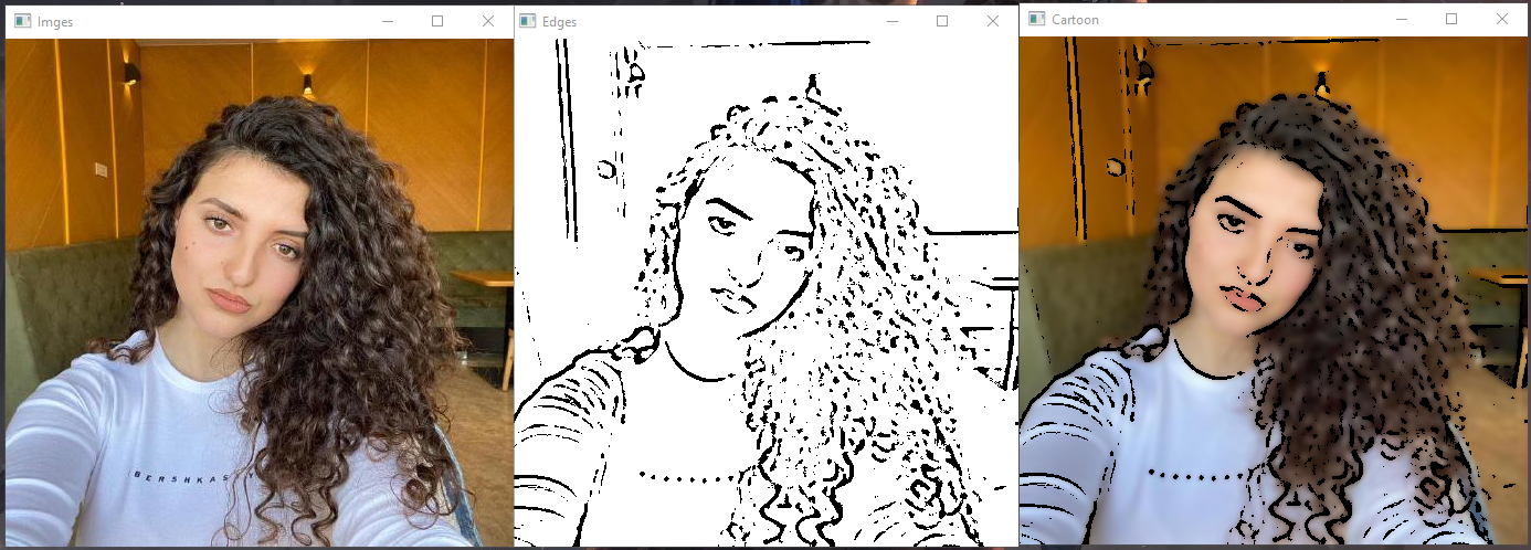 GitHub - Leonorav/Convert-image-to-cartoon