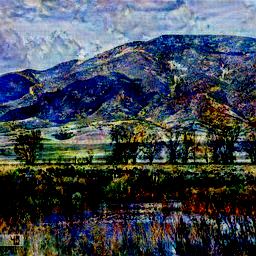 CycleGAN/README.md at main · inhopp/CycleGAN · GitHub