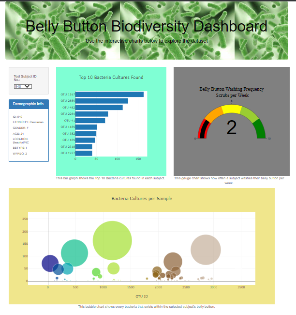 GitHub - jwetapatel/Belly_Button_Biodiversity
