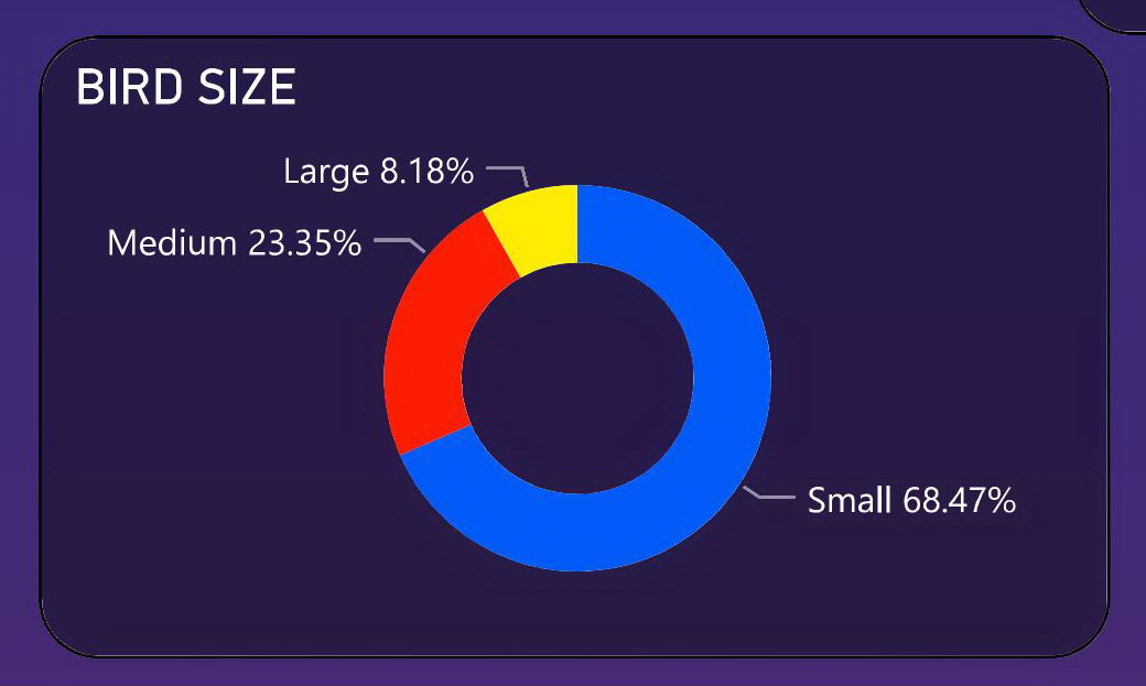 GitHub - Rohit-Moghe/Bird-Strikes-Data-Visualization: This study aims at exploring the data from ...