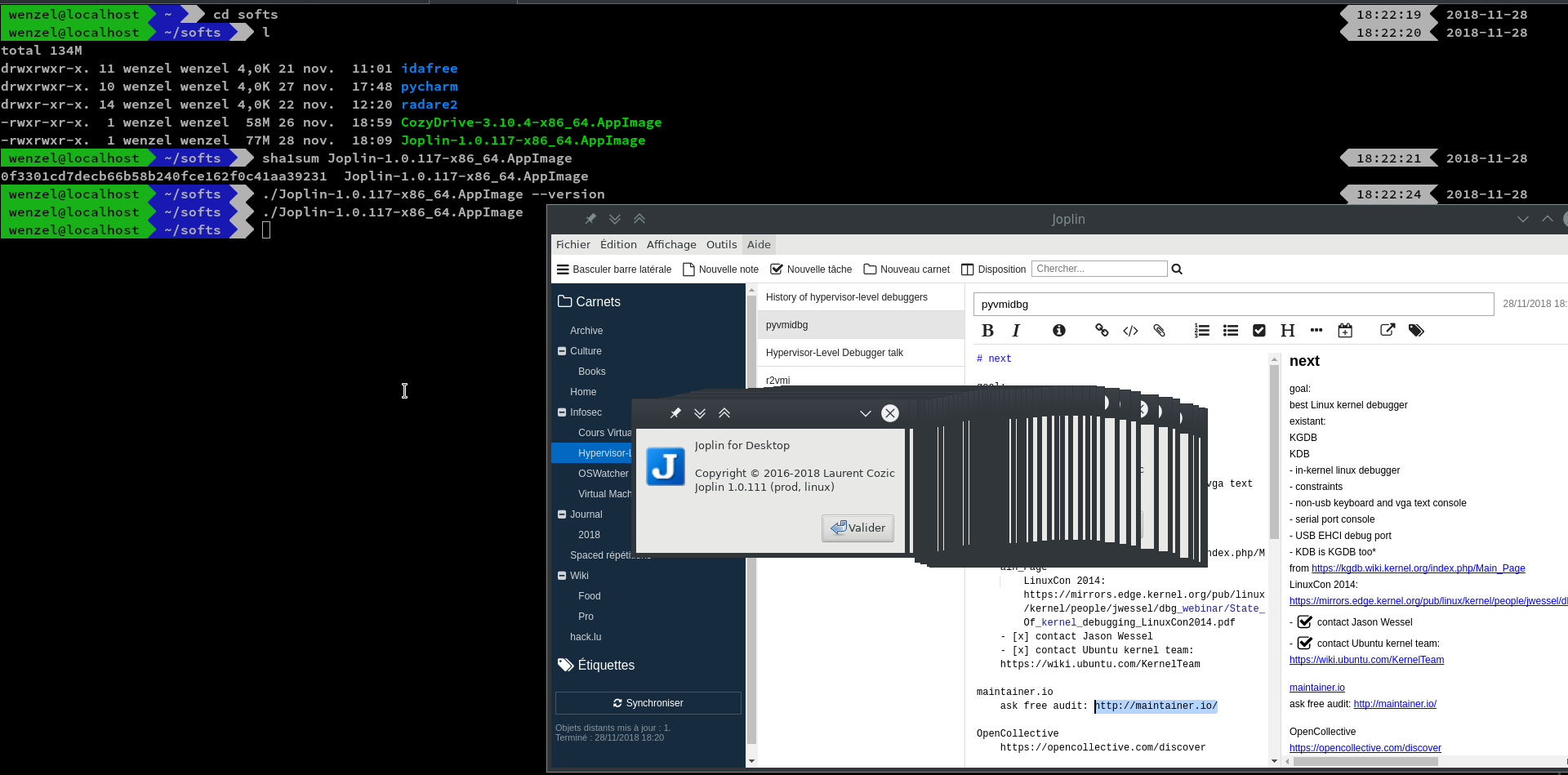 Help>Apropos: version info not updated on new releases · Issue #1018 · laurent22/joplin · GitHub