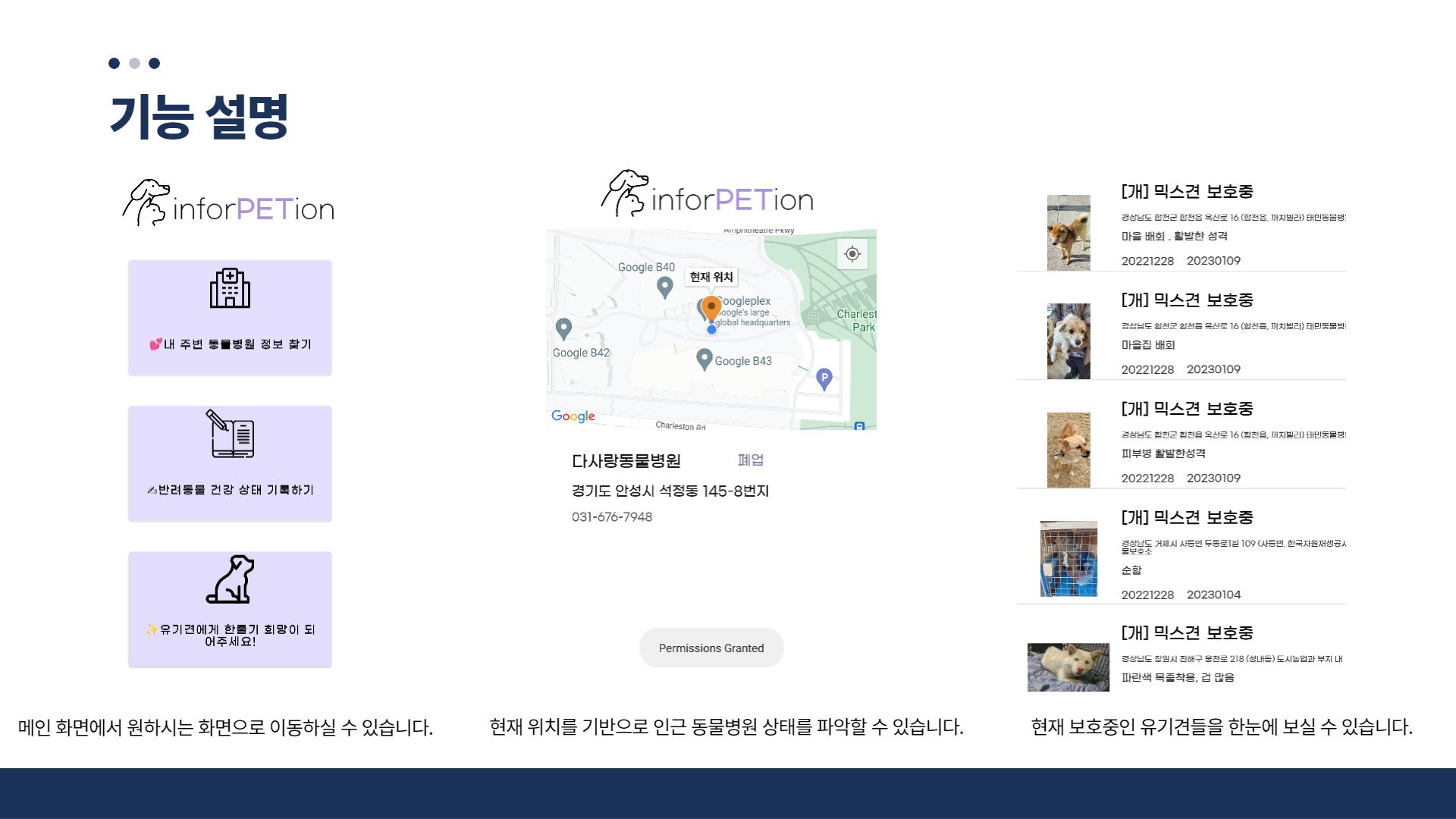 GitHub - yu-heejin/Mobile-Project: 2022 모바일응용 프로젝트 : 반려동물을 위한 애플리케이션 InforPETion 🐾