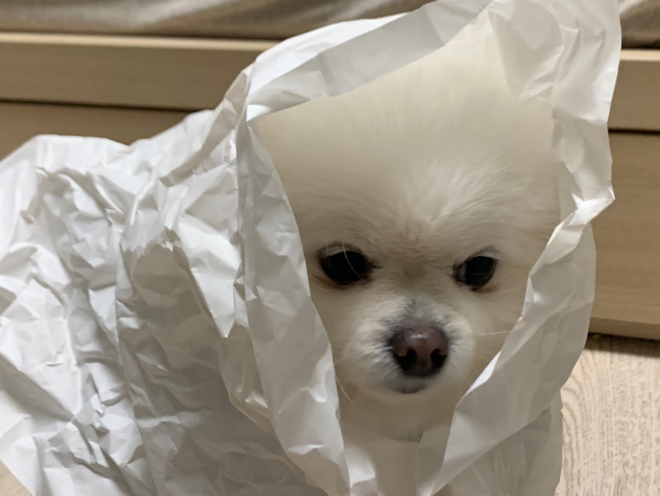 prompter-day-2023 · GitHub