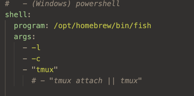 cannot change default shell to fish · Issue #6746 · alacritty/alacritty ...