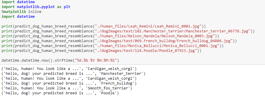 GitHub - ramborra/Dog-Breed-Classifier: Convolutional Neural Networks Project: Write an ...