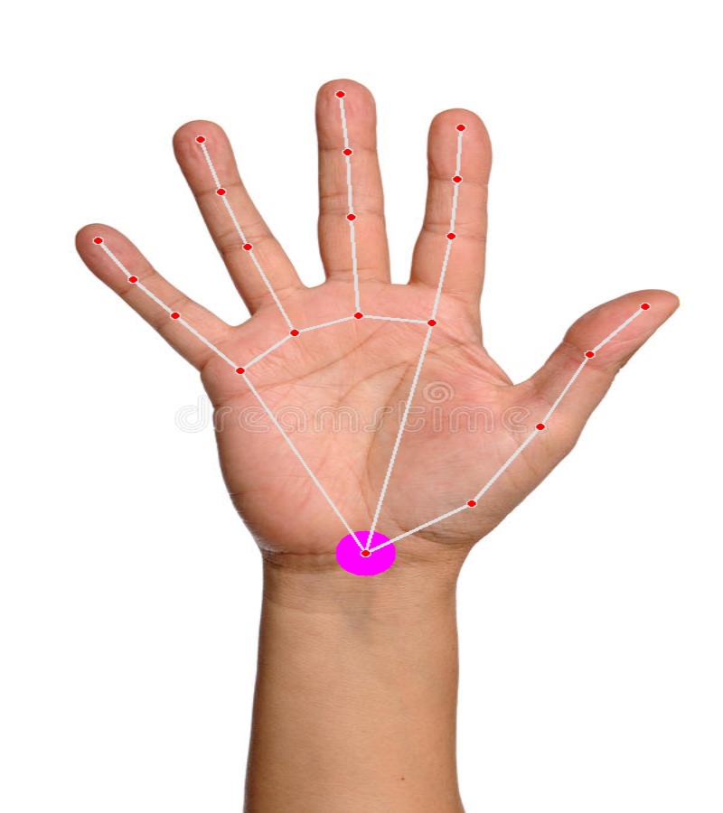 GitHub - yasirrustam06/HandTracking-Mediapipe-1 GitHub - yasirrustam06/HandTracking-Mediapipe-1