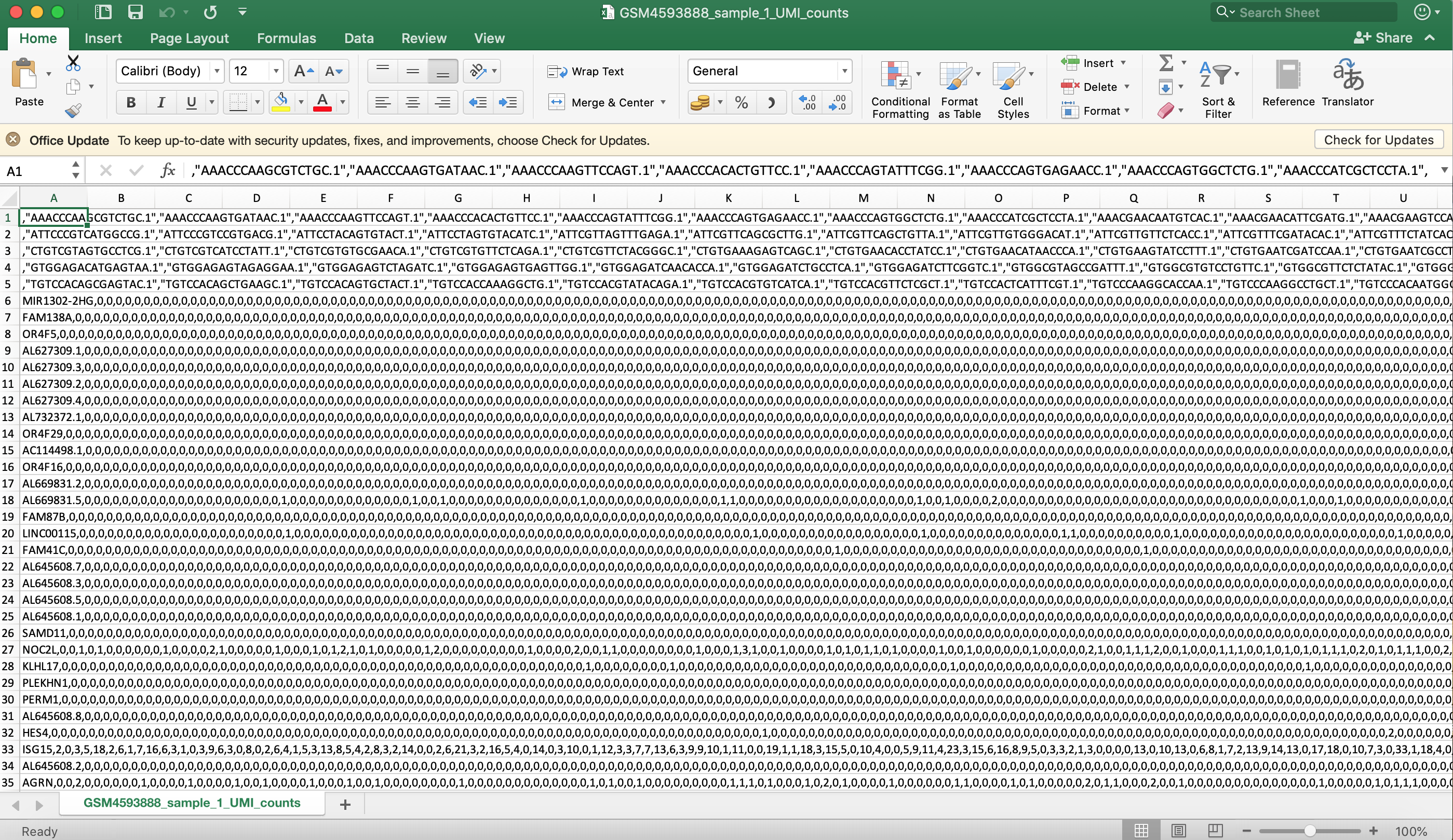 How Can I Create A Seurat Object From A UMI counts csv gz File Issue 