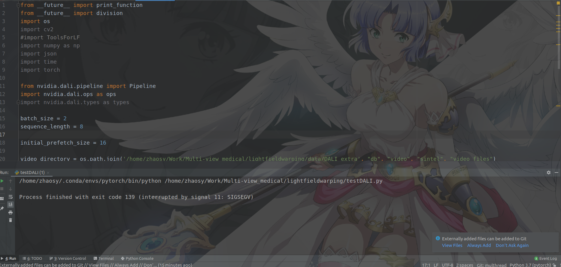 Segmentation fault (core dumped) when running the videoreader example · Issue #2090 · NVIDIA ...
