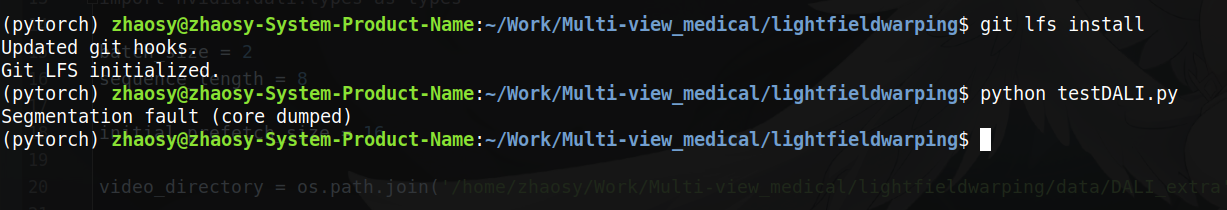 Segmentation fault (core dumped) when running the videoreader example · Issue #2090 · NVIDIA ...