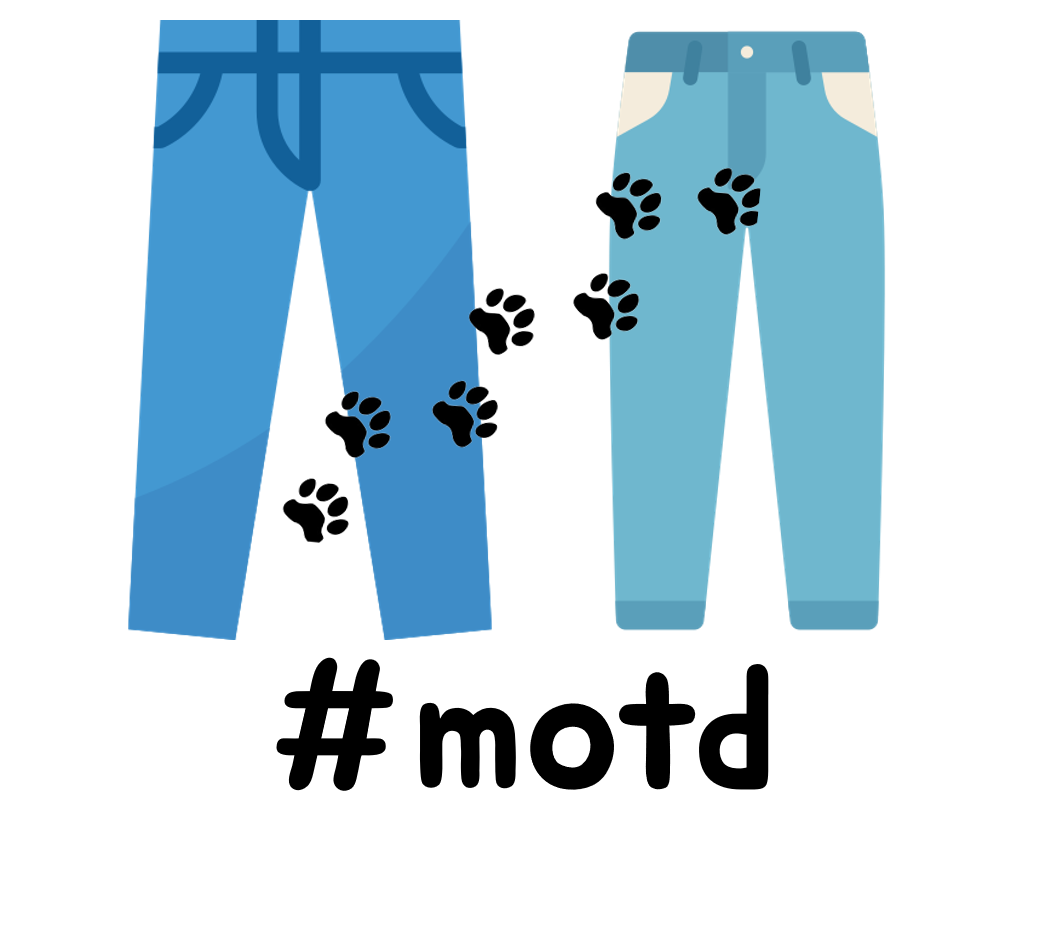 GitHub - rubberramen/motd_project: #motd_How do I Look? : 딥러닝을 활용한 사용자 패션 스타일 분류 및 공유 서비스 웹 프로그램