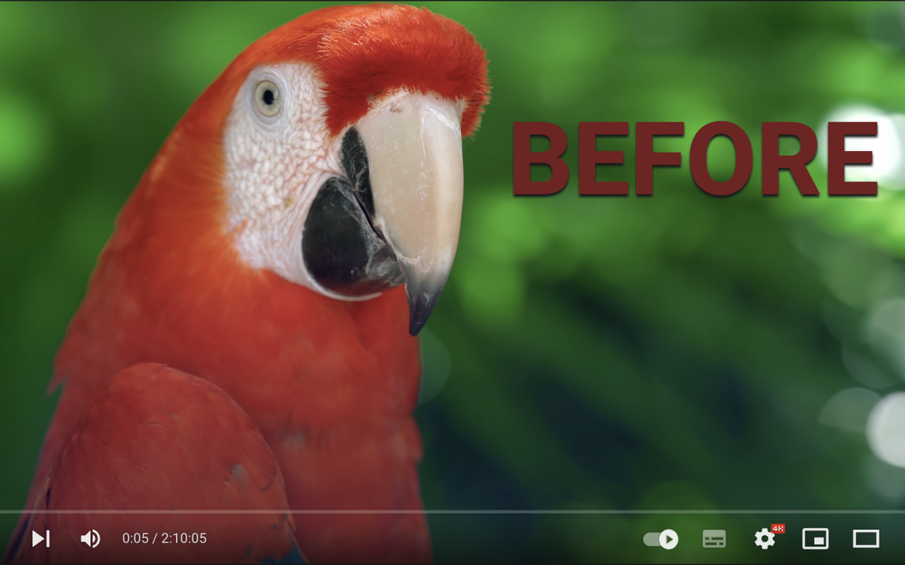 GitHub - YuriiCodes/YouTube-Timer-CS50-final-project: A final CS50 project that improves the ...