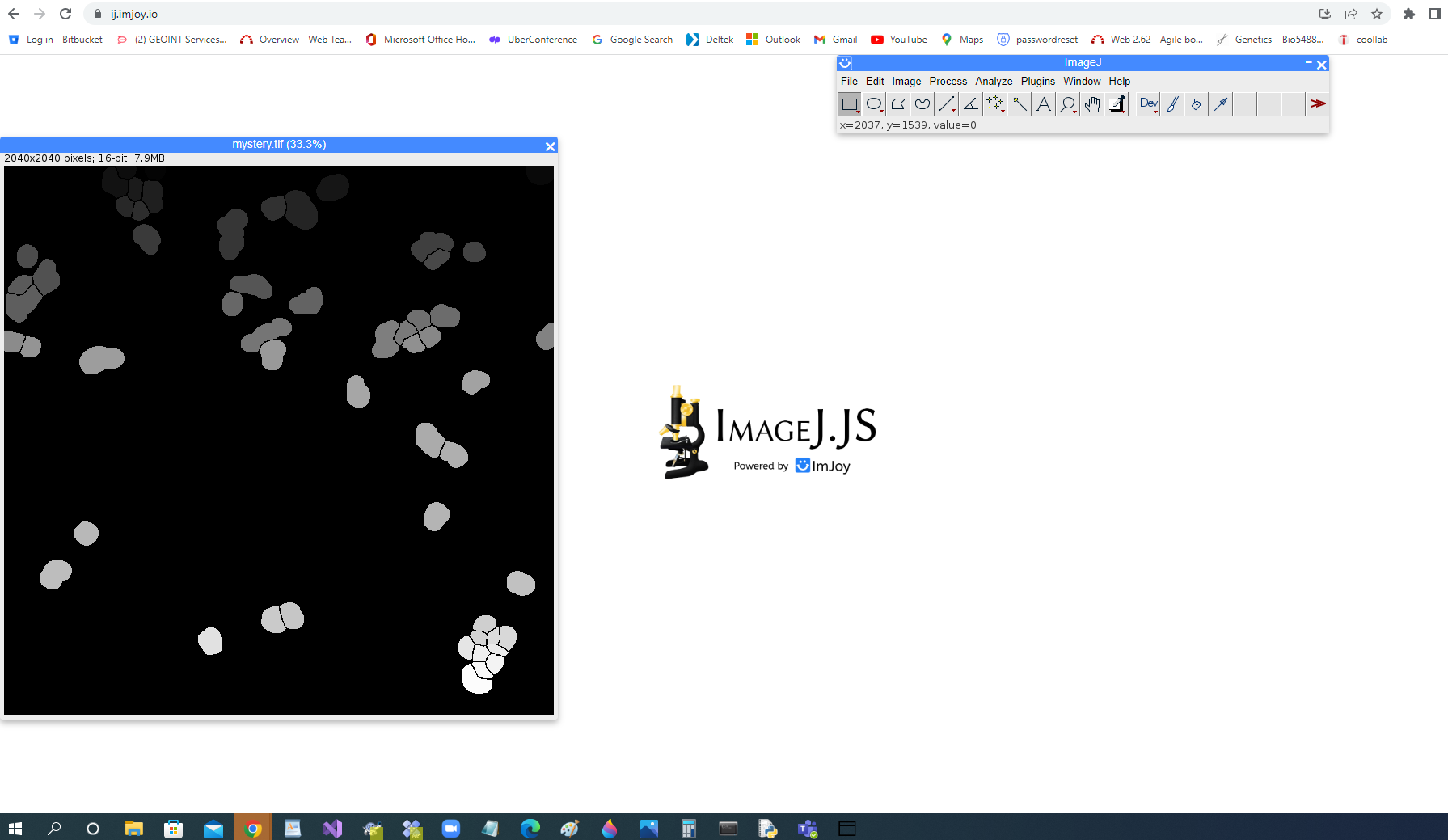 GrayScale Image with high dynamic range being treated as binary · Issue #2242 · SixLabors ...