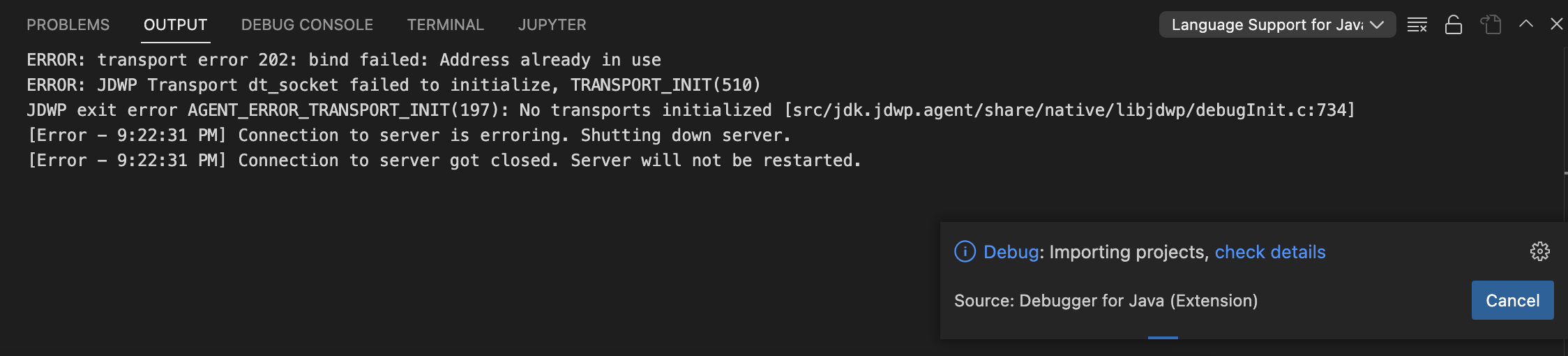Cannot Run Java Program In VSCode Extension Development Host On Debug