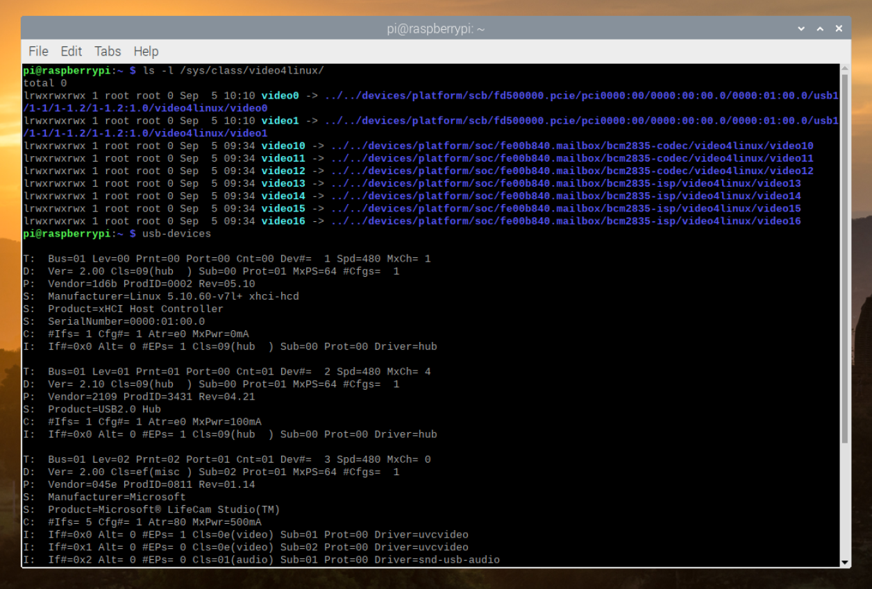 raspberry-as-gige-camera/docs/python3_client_tutorial.md at main · improvess/raspberry-as-gige ...