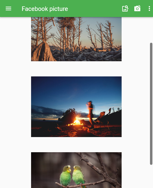 GitHub - Mkhaninfo/Flutter-gallery