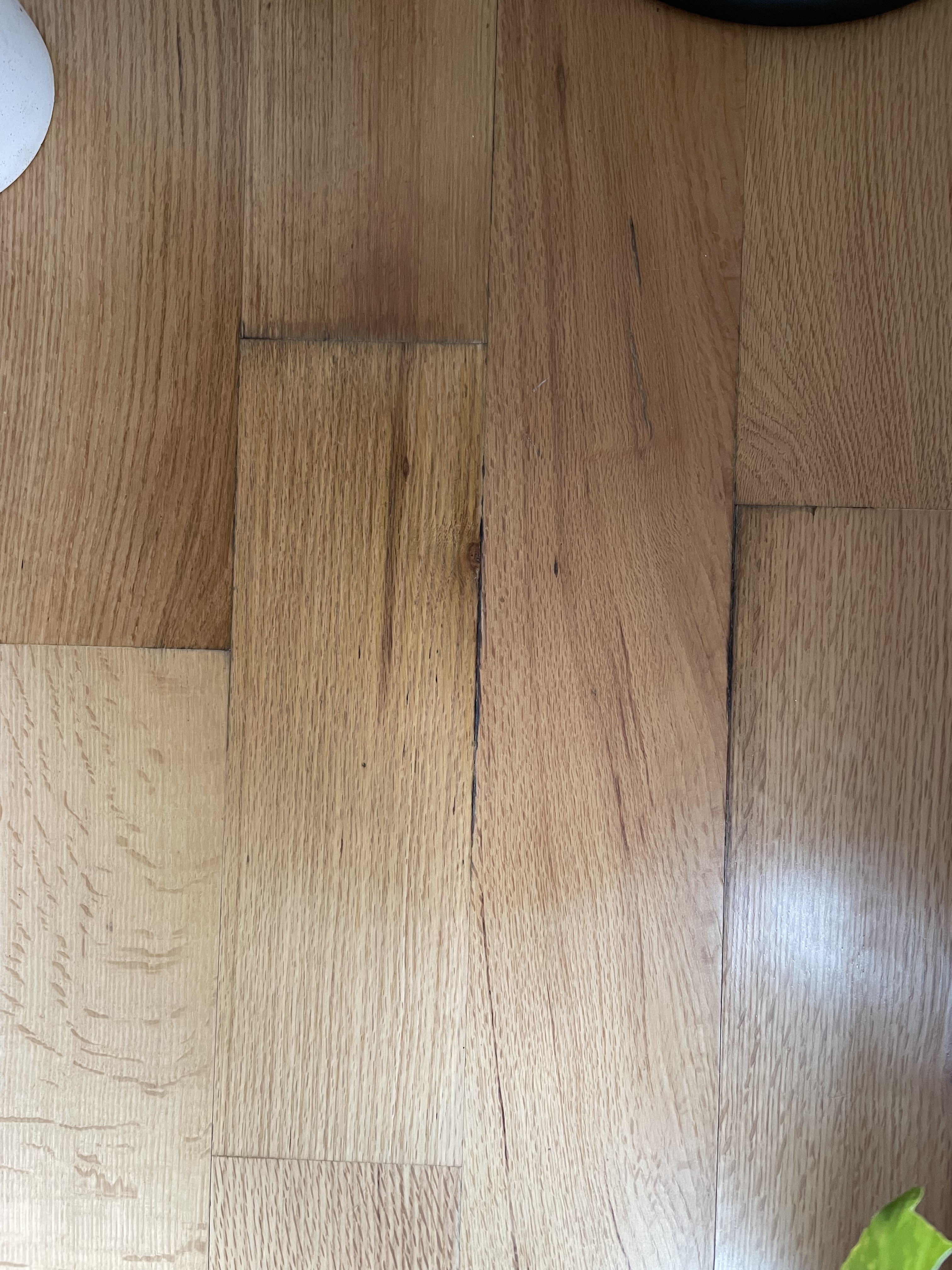 Notice damage on wood floor, how bad does this look and what are ...