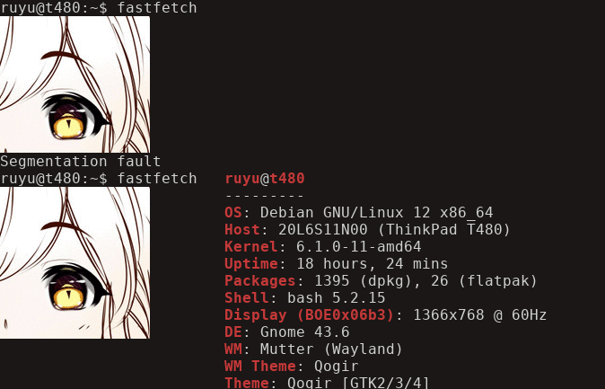 Segmentation Fault On First Use Of New Images With Sixel Flag · Issue
