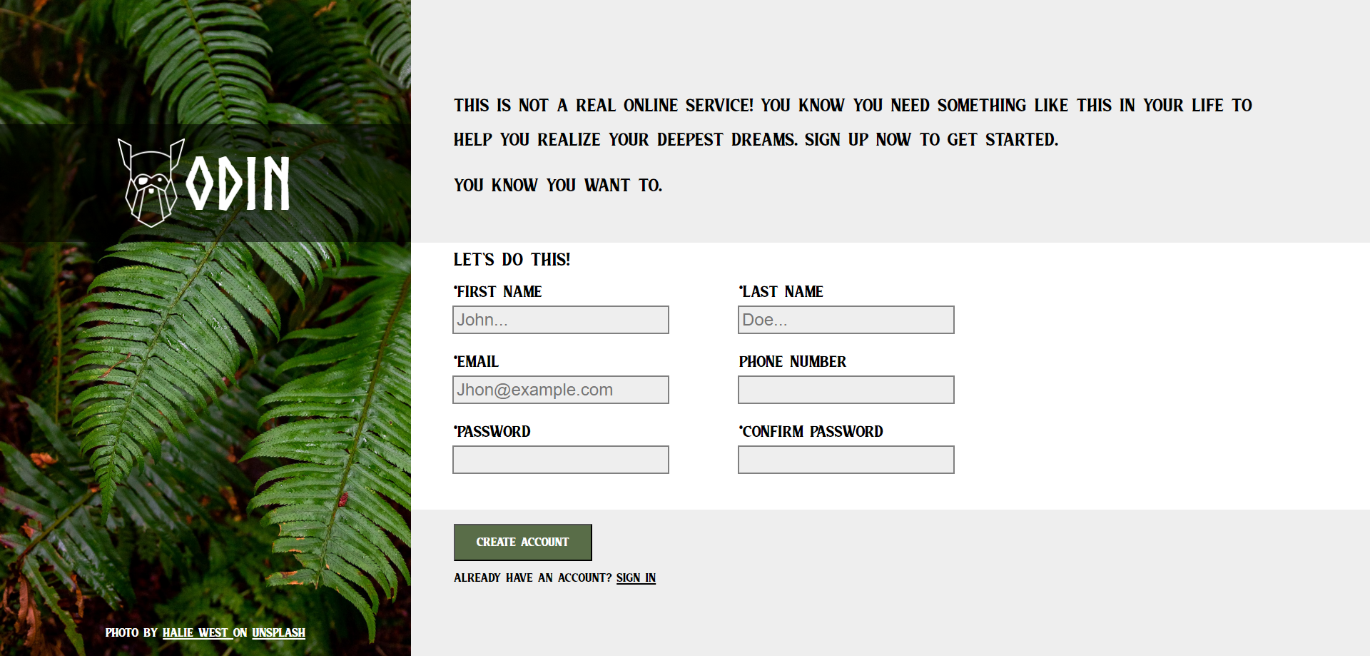 Github Kingmohbil Web Form