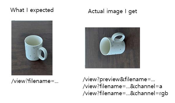 Image from `/view` endpoint has wrong orientation · Issue #1621 ...