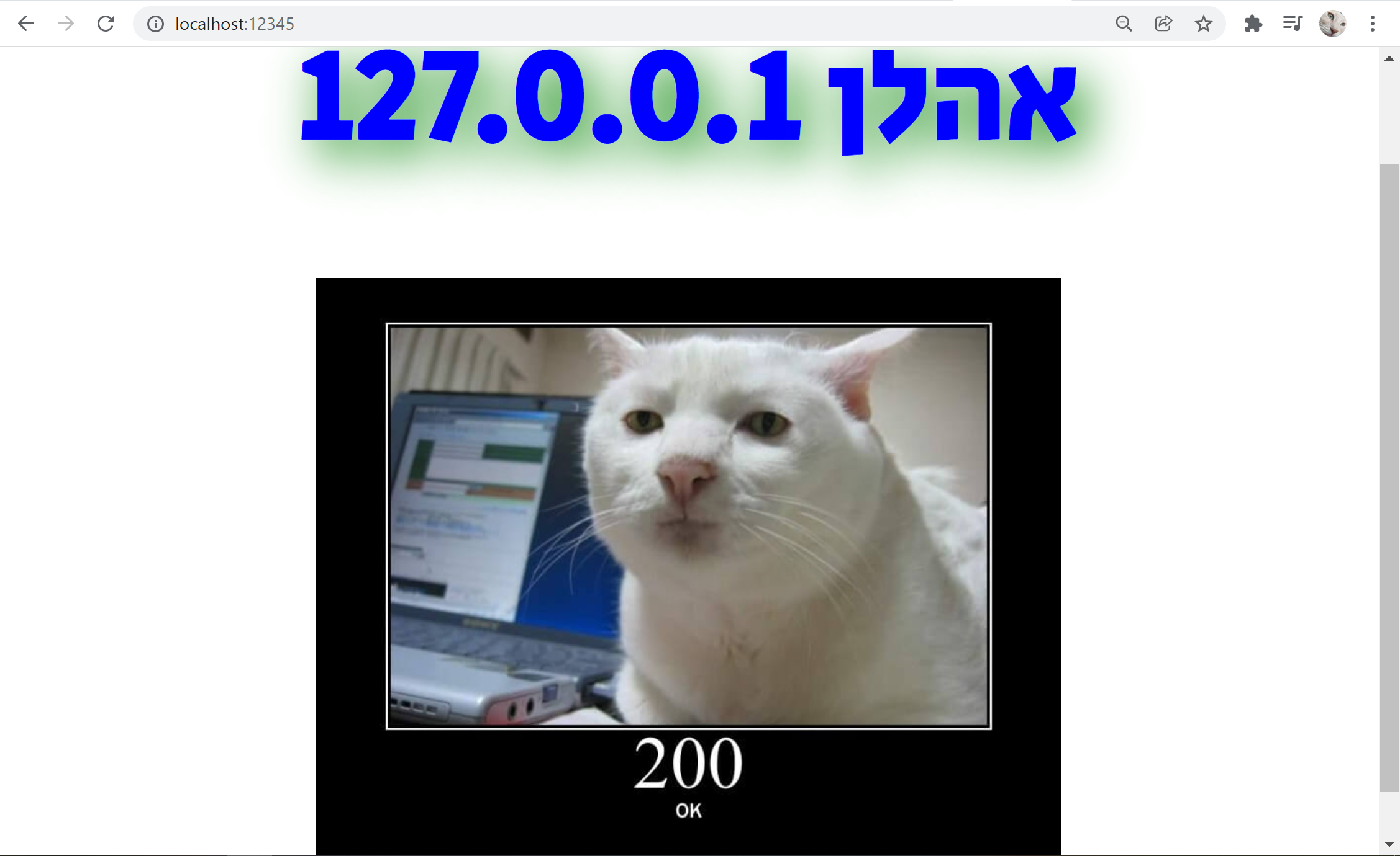 GitHub - Avichai-Hayardeni/HTTP-server: Excercise #4