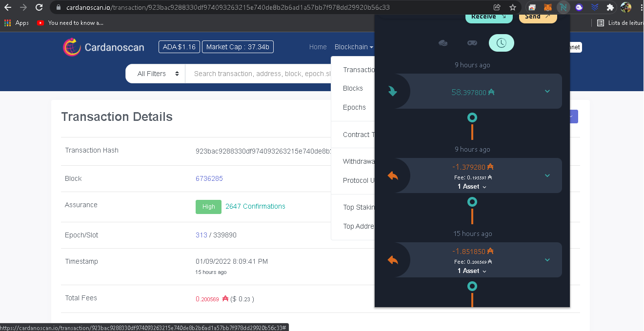 smart contract transaction · Issue #199 · input-output-hk/nami · GitHub