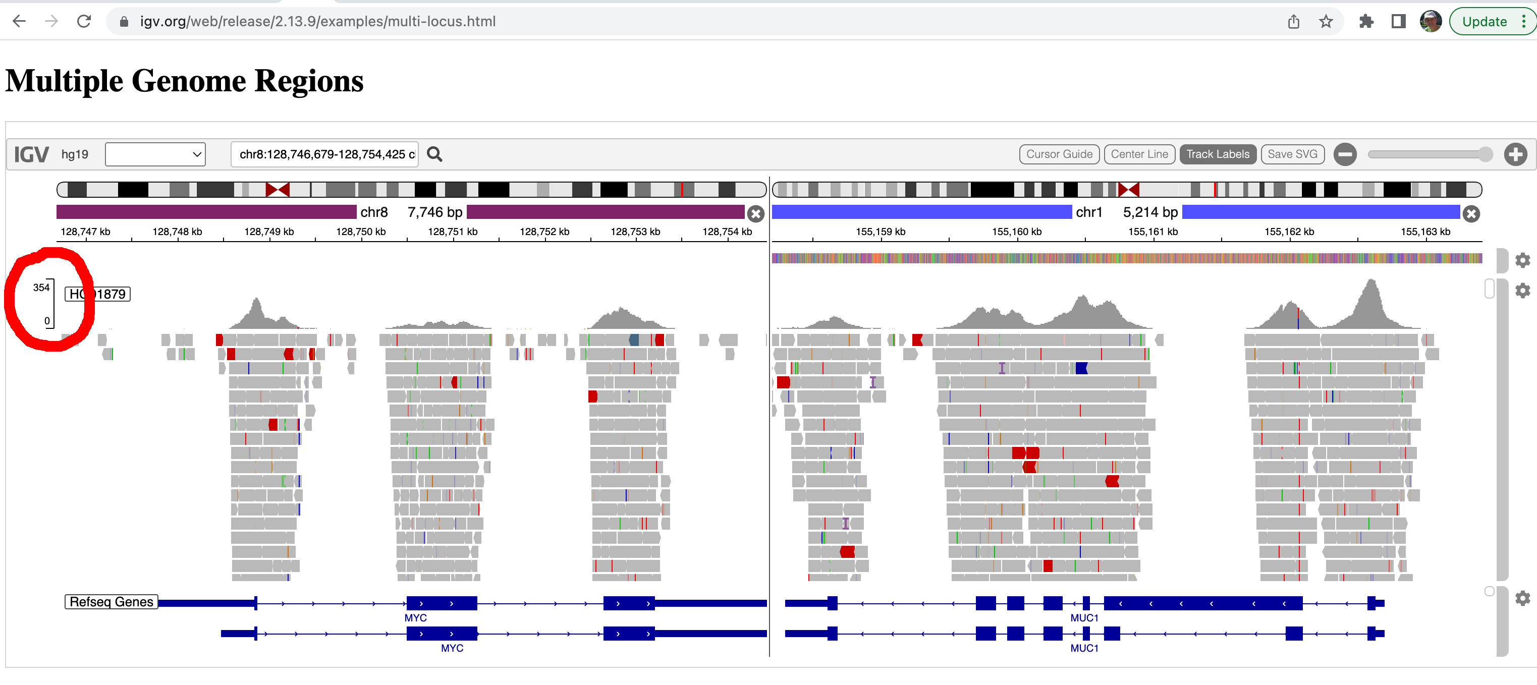Split View Depth · Issue #1578 · igvteam/igv.js · GitHub