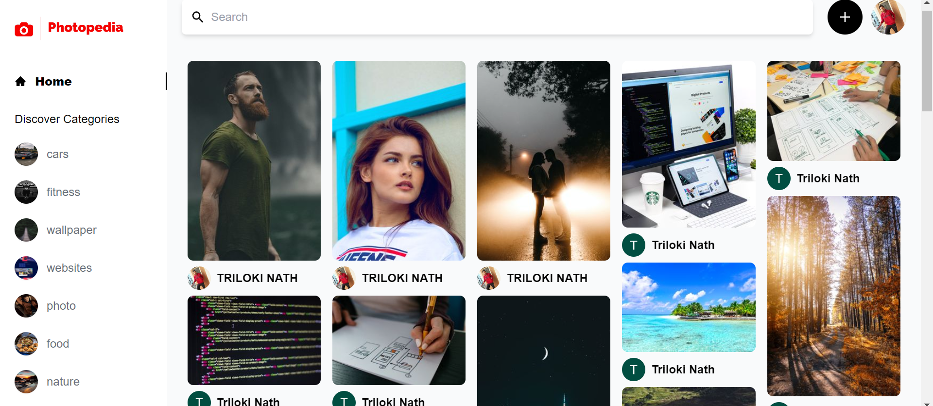 GitHub - Triloki35/Photopedia