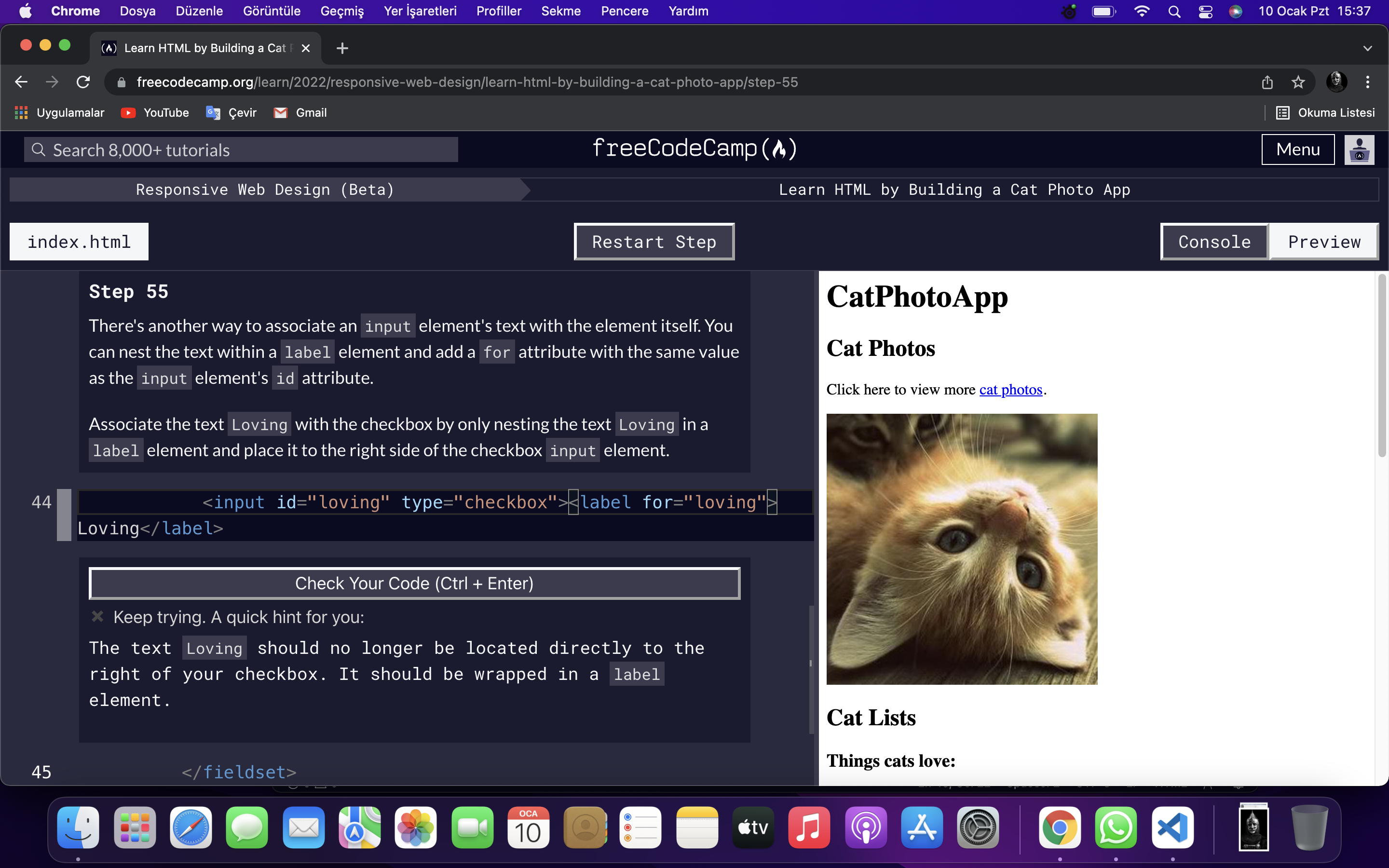 RWD Beta, Cat, Step 55: Possible bug at the hints · Issue #44740 · freeCodeCamp/freeCodeCamp ...