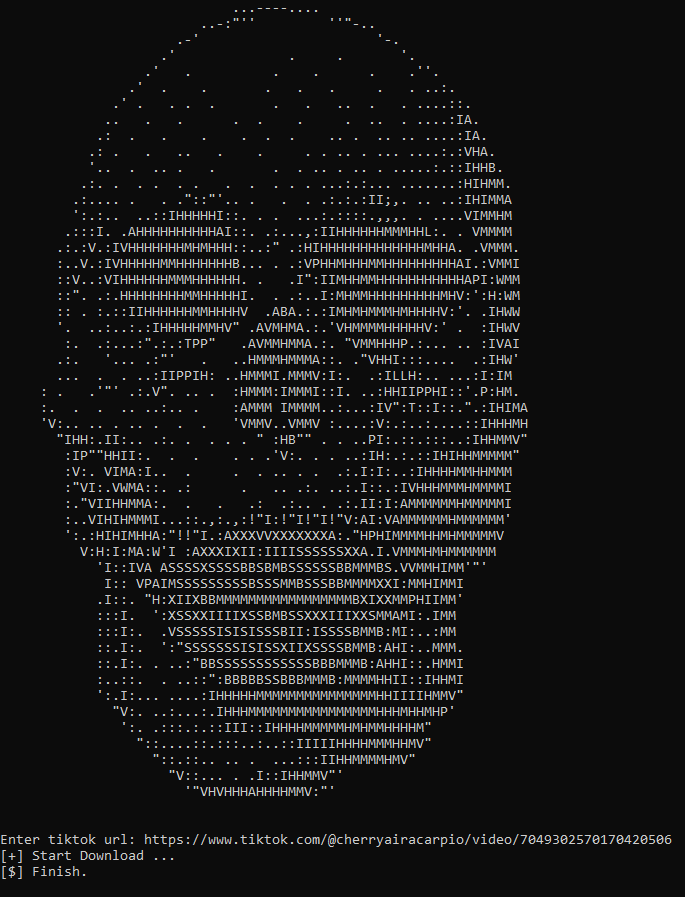GitHub - Ali-Aseman/tiktok-downloader