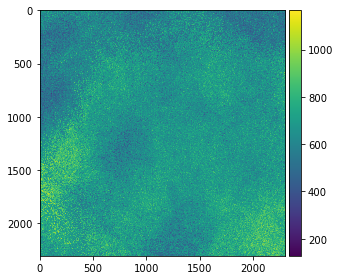 Unexpectedly large memory usage on empty image · Issue #534 · MouseLand/cellpose · GitHub