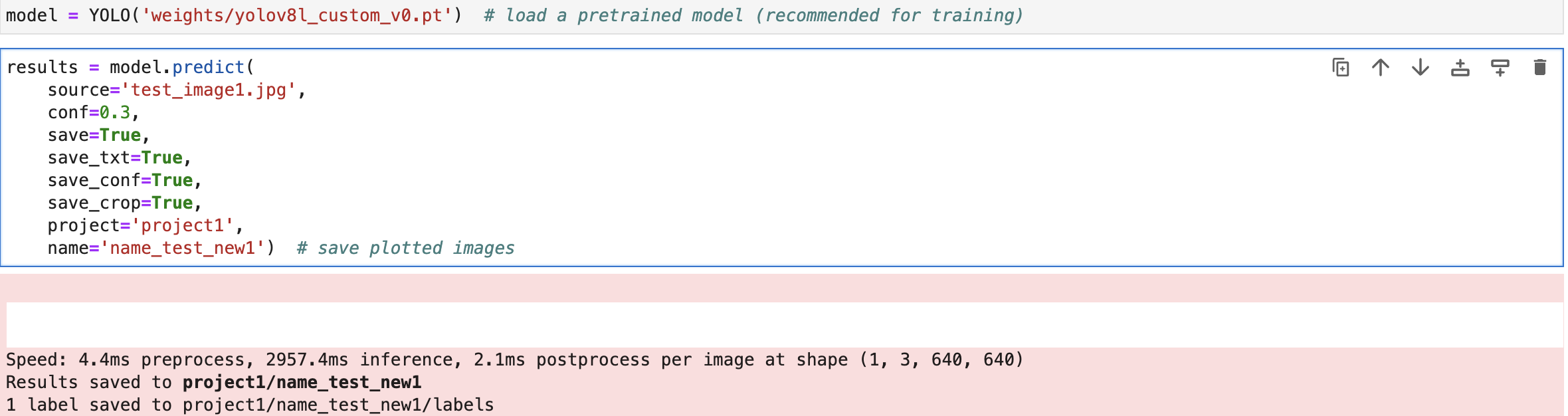 Yolo Models Unable To Update Project And Name Parameters Without Reloading · Issue 3189