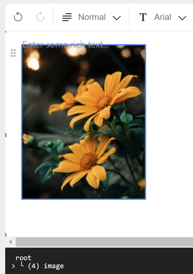 Bug: placeholder should not be shown for single DecoratorNode · Issue #4145 · facebook/lexical ...