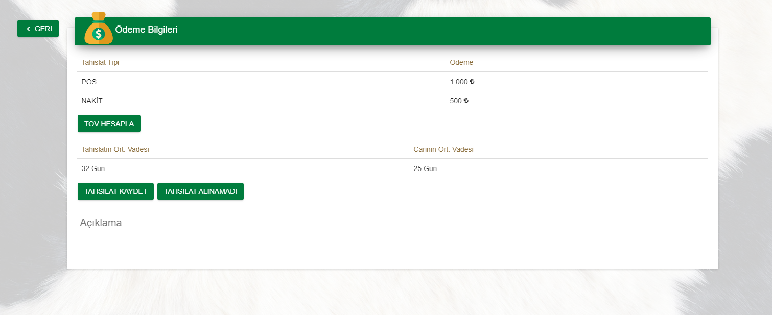GitHub - ridvankahramann/Custom-Web-Theme