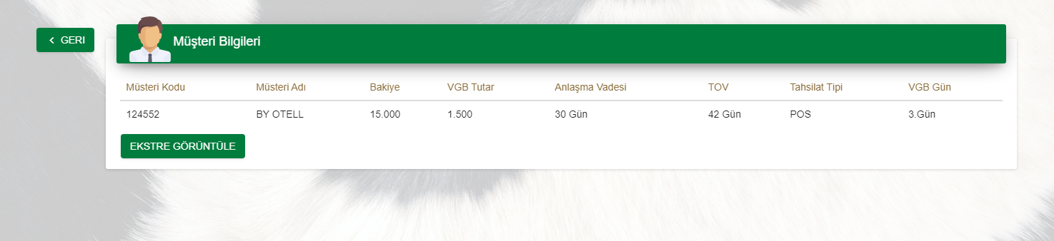 Github Ridvankahramann Custom Web Theme