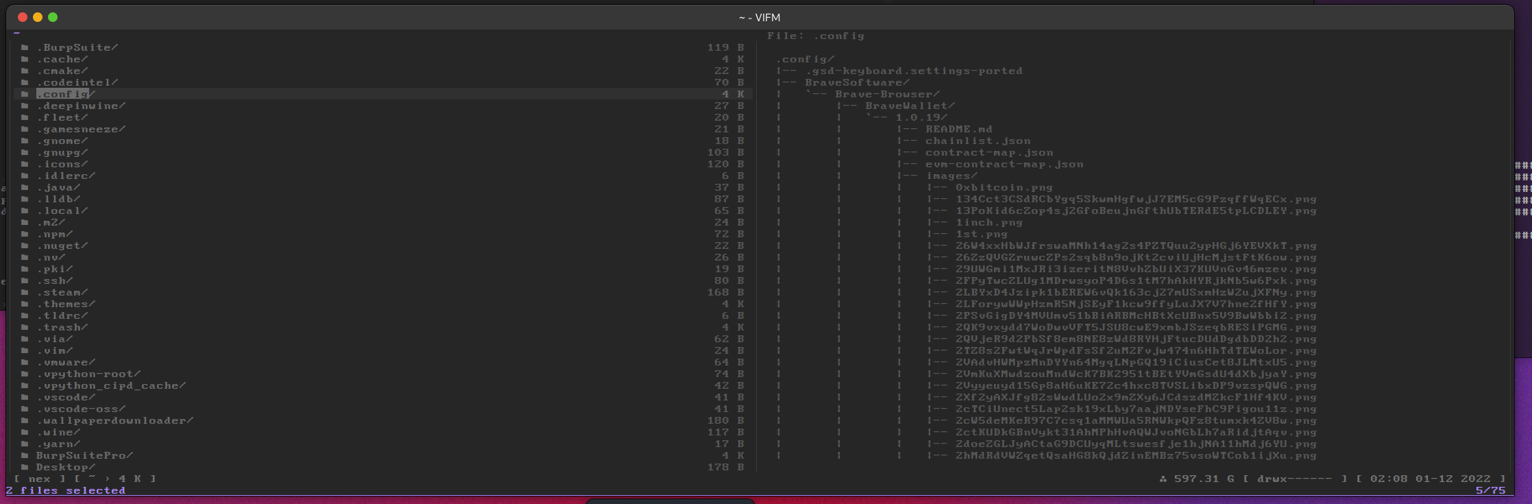 quickly move in preview pannel will cause character blinking on other panel · Issue #850 · vifm ...