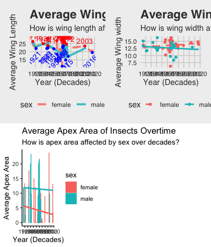 GitHub - augiePheonix/projectCarnivore