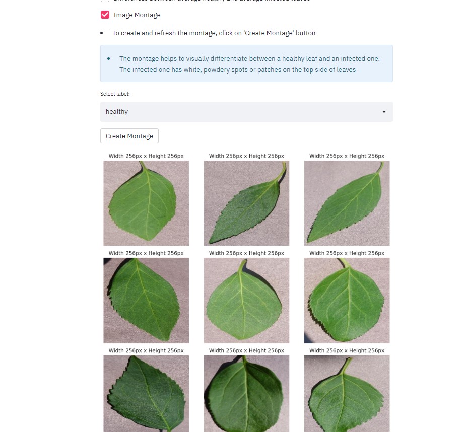 GitHub - ssreelakshmi88/mildew-detection-cherry-leaves_milestonePP5