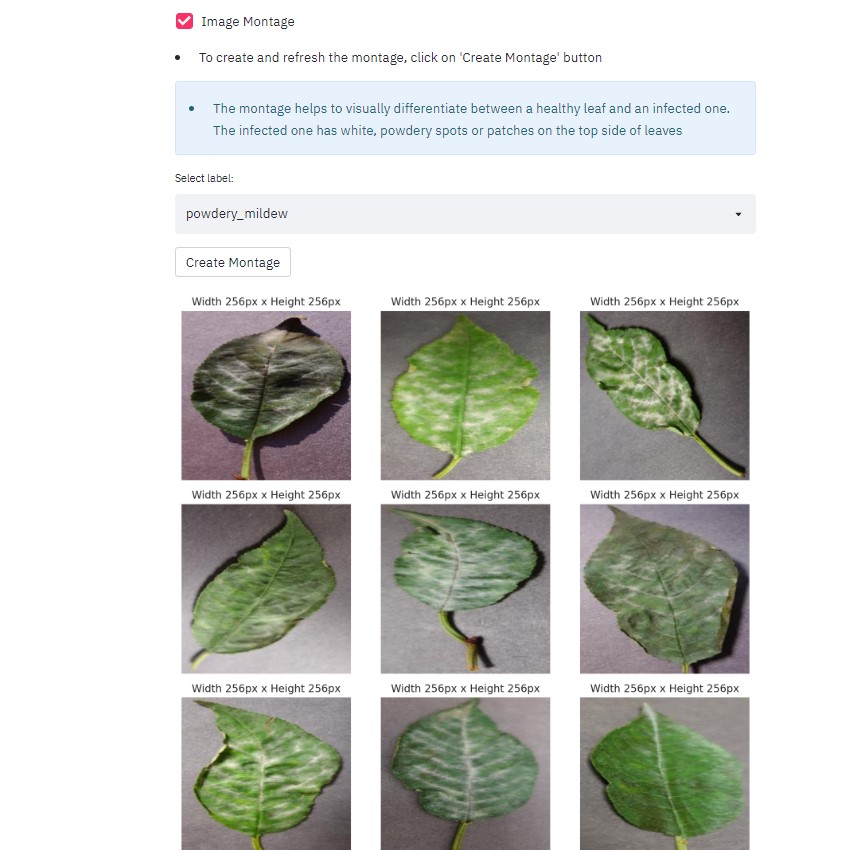 GitHub - ssreelakshmi88/mildew-detection-cherry-leaves_milestonePP5
