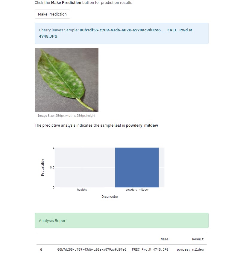GitHub - ssreelakshmi88/mildew-detection-cherry-leaves_milestonePP5