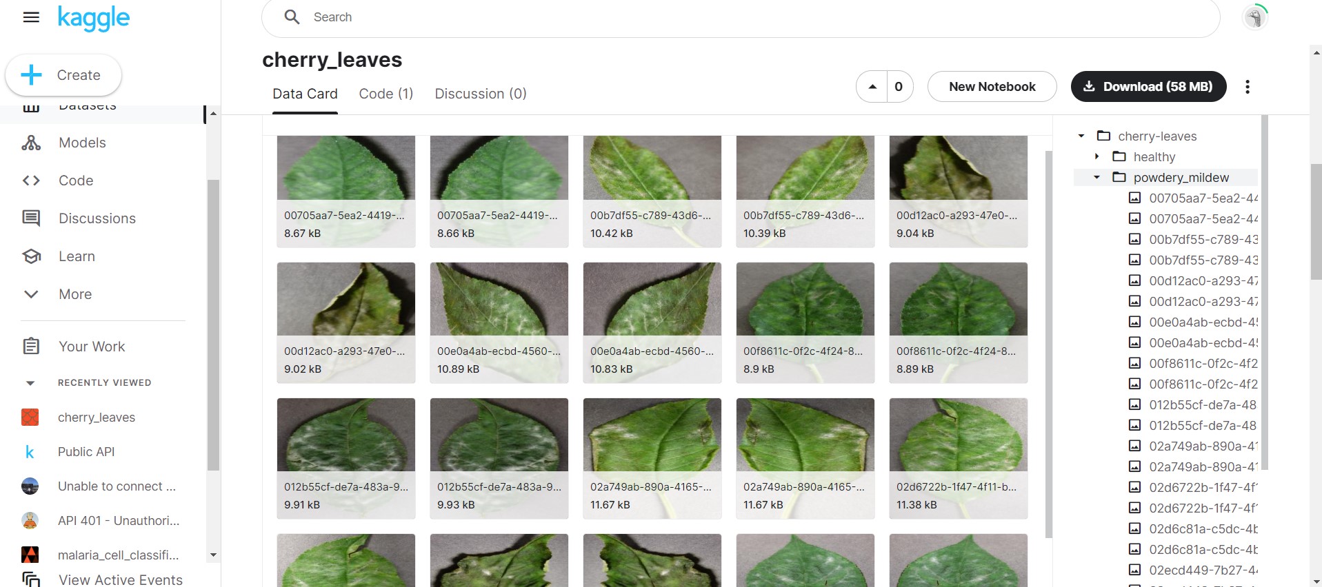 GitHub - ssreelakshmi88/mildew-detection-cherry-leaves_milestonePP5