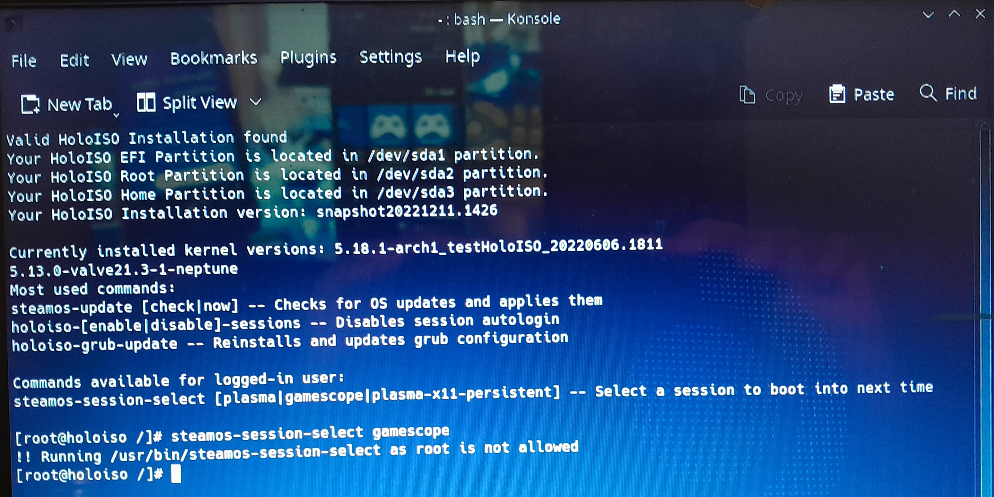 CHROOT to valid HoloISO Instalation · Issue #718 · holoiso-eol/holoiso · GitHub