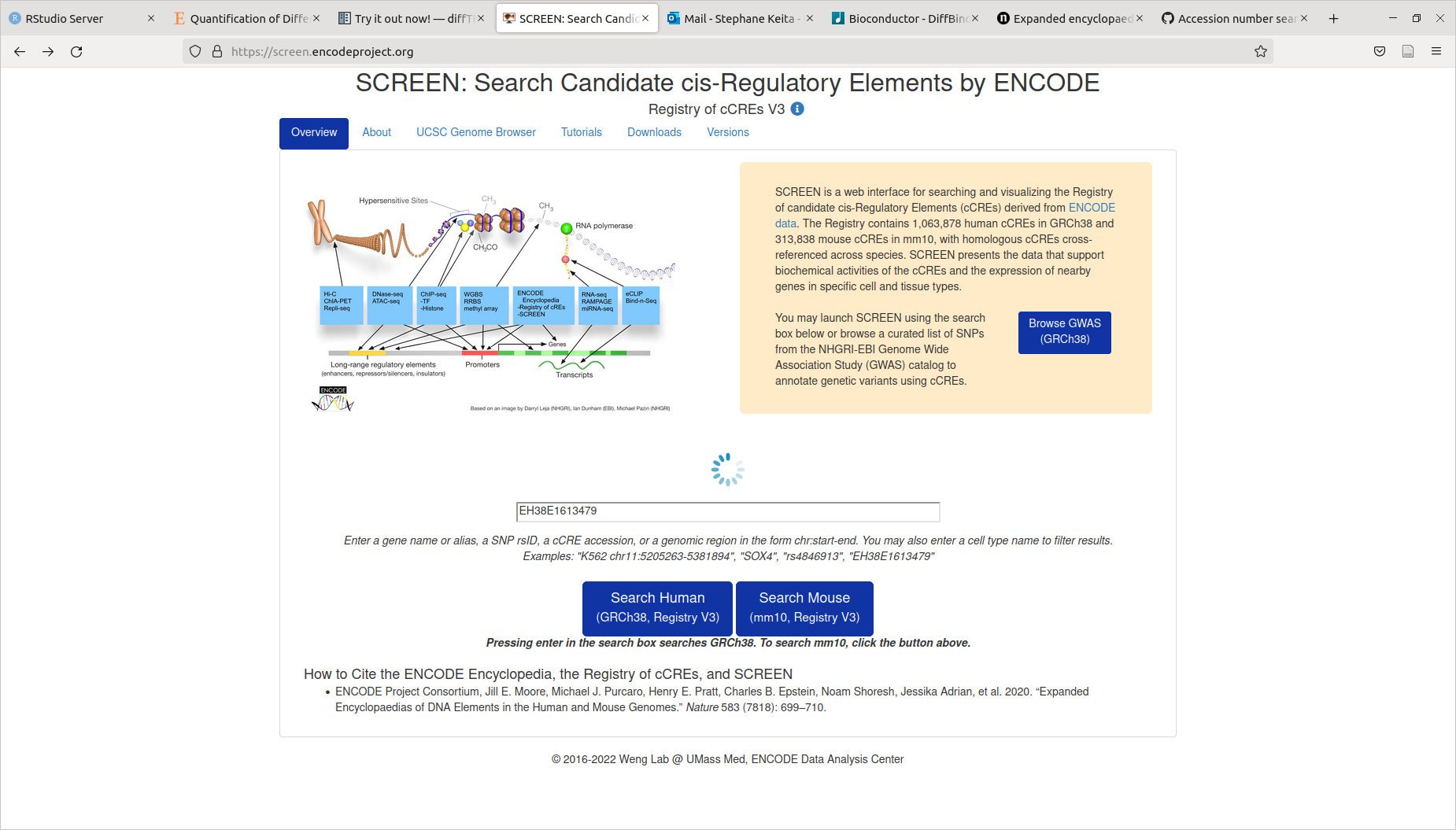 Accession Number Searching Seems To Be Broken · Issue 130 · Weng Labscreen · Github