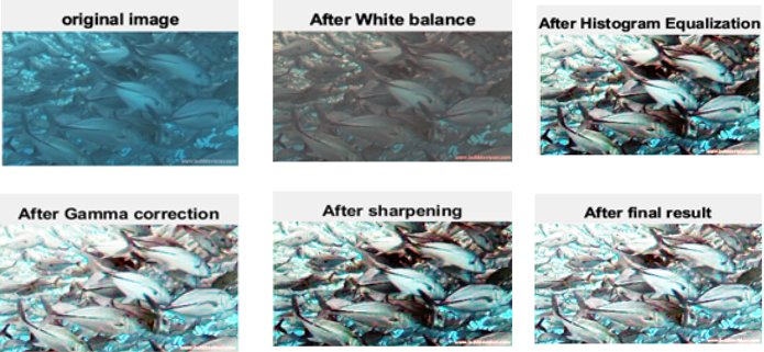 GitHub - bedooralmareni/Underwater-image-enhancement: project for ...