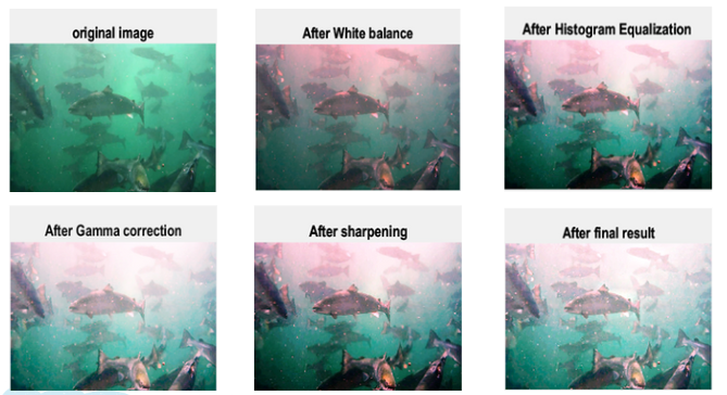 GitHub - bedooralmareni/Underwater-image-enhancement: project for ...