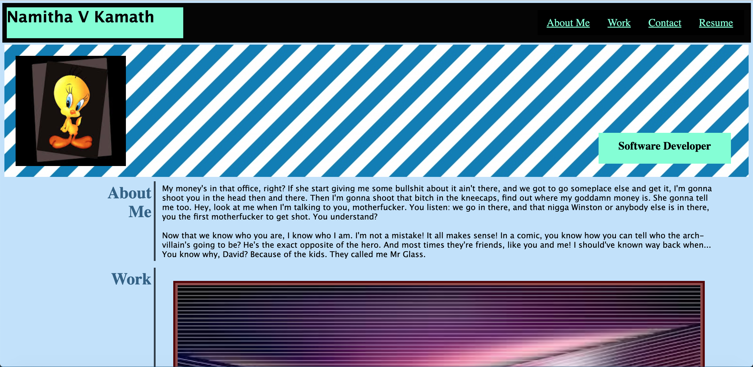 GitHub - nkamth/Professional-Portfolio