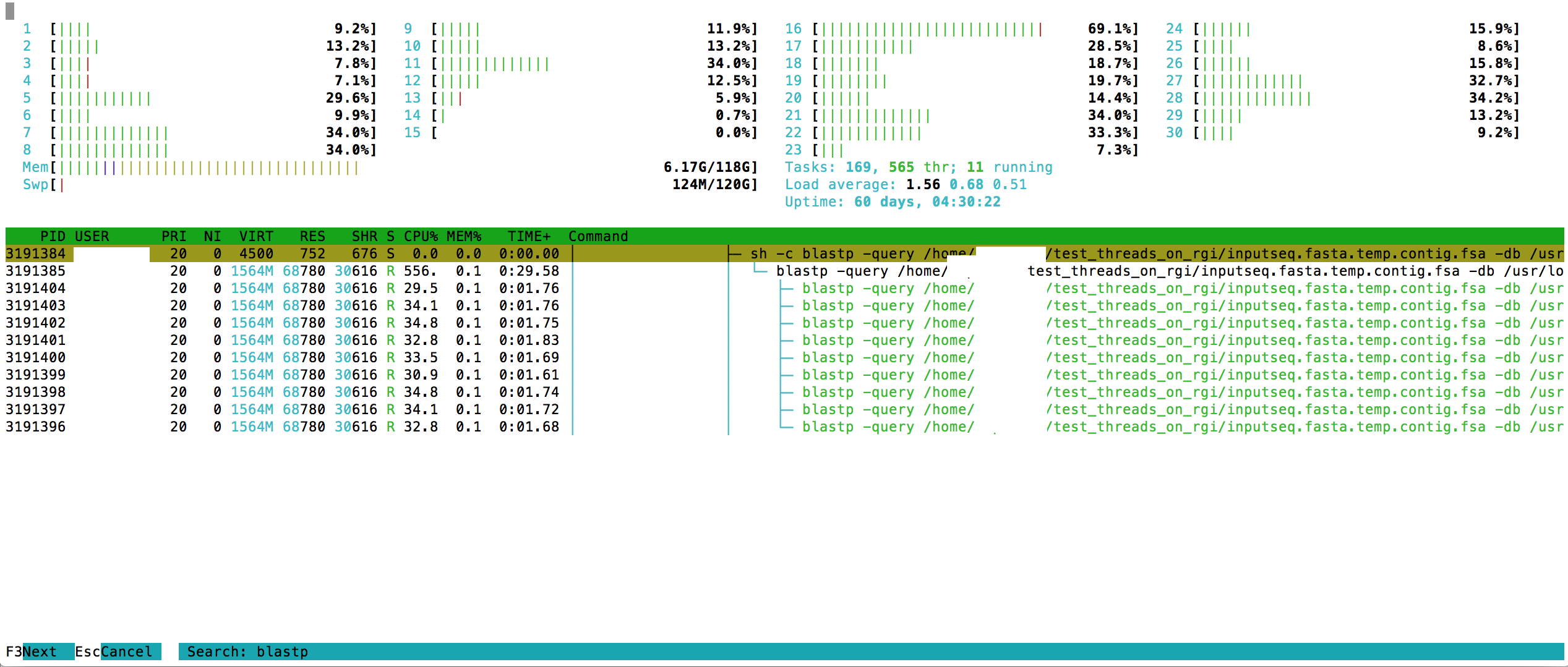 BLAST process is not using multiple threads · Issue #27 · arpcard/rgi · GitHub