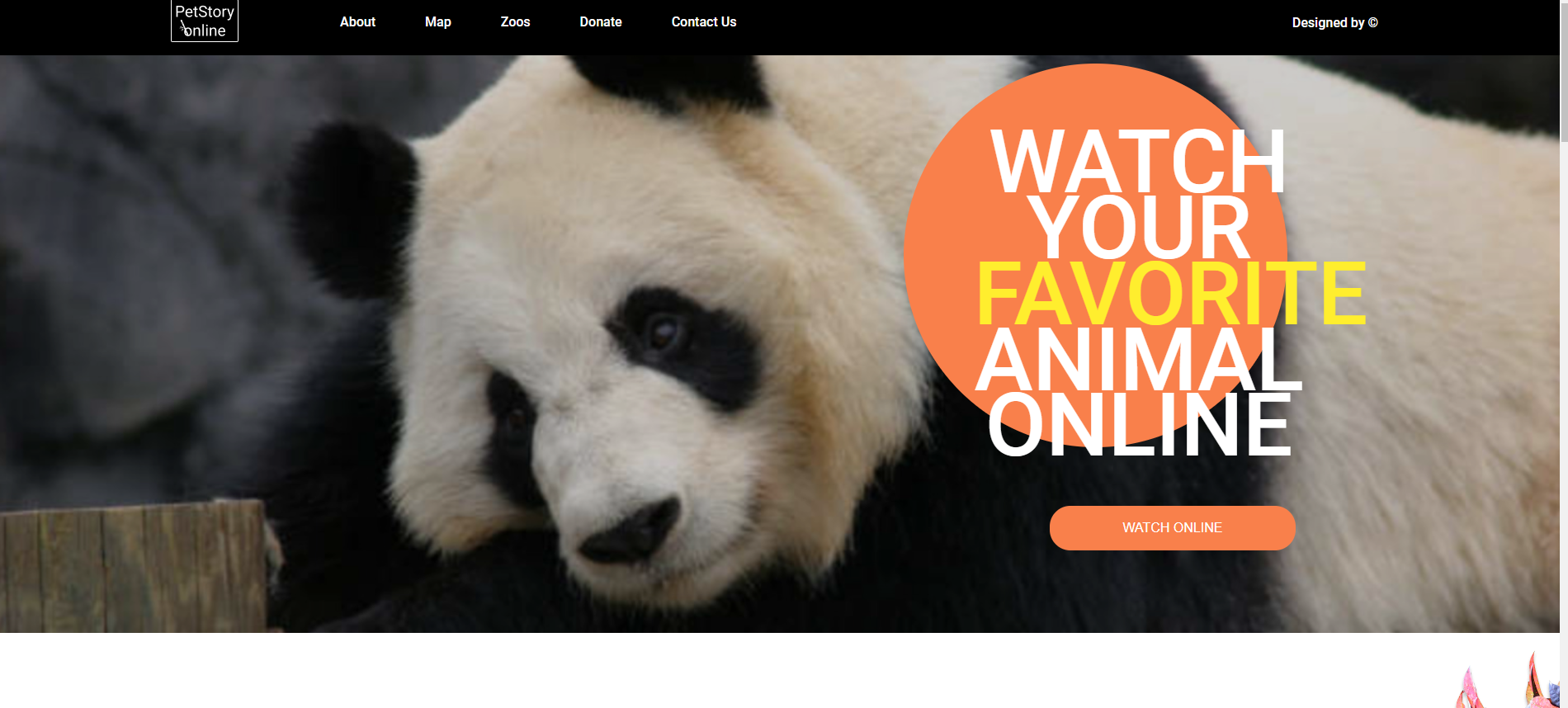 GitHub - DaroGawlik/HTML-CSS-Online-Zoo: Online-Zoo-Project