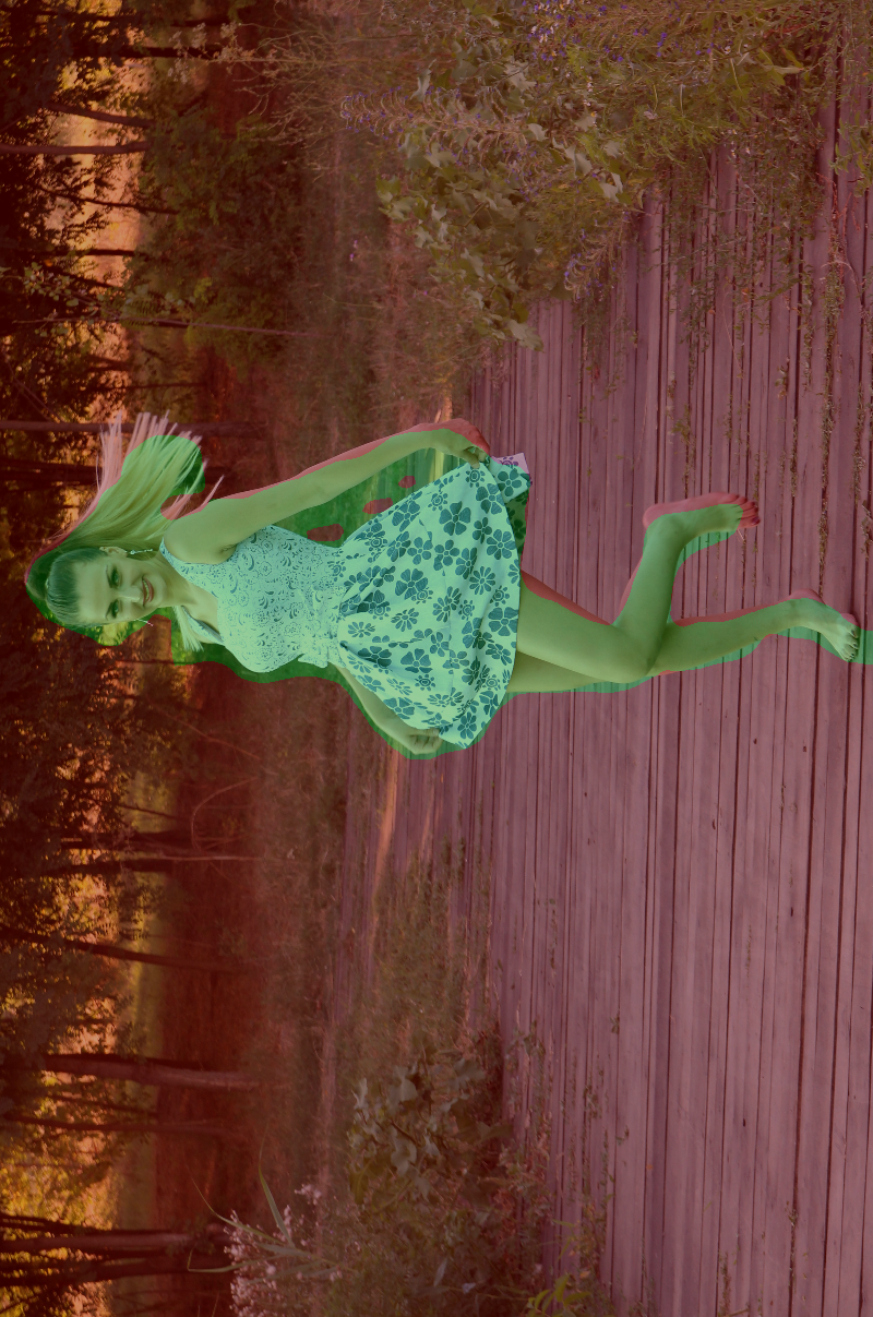 pp humanseg v2 lite人像模型预测人像mask存在偏移 · Issue #3438 · PaddlePaddle ...