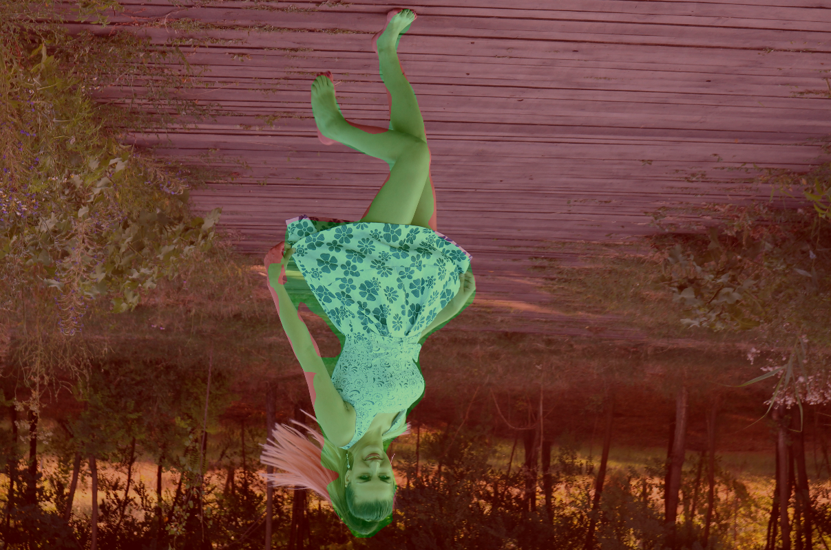 pp humanseg v2 lite人像模型预测人像mask存在偏移 · Issue #3438 · PaddlePaddle ...